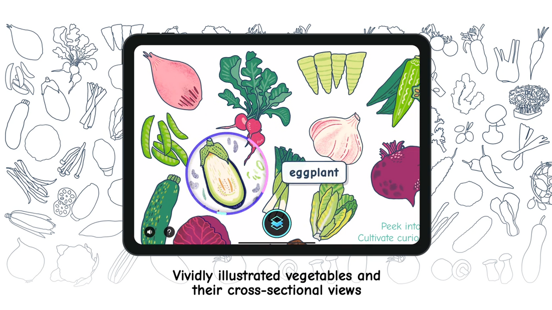 50 Bilingual Words - Know Your Vegetables – Peekabook