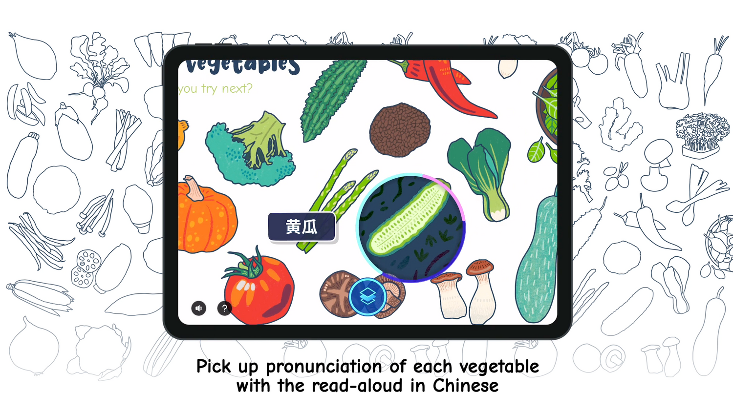 50 Bilingual Words - Know Your Vegetables – Peekabook