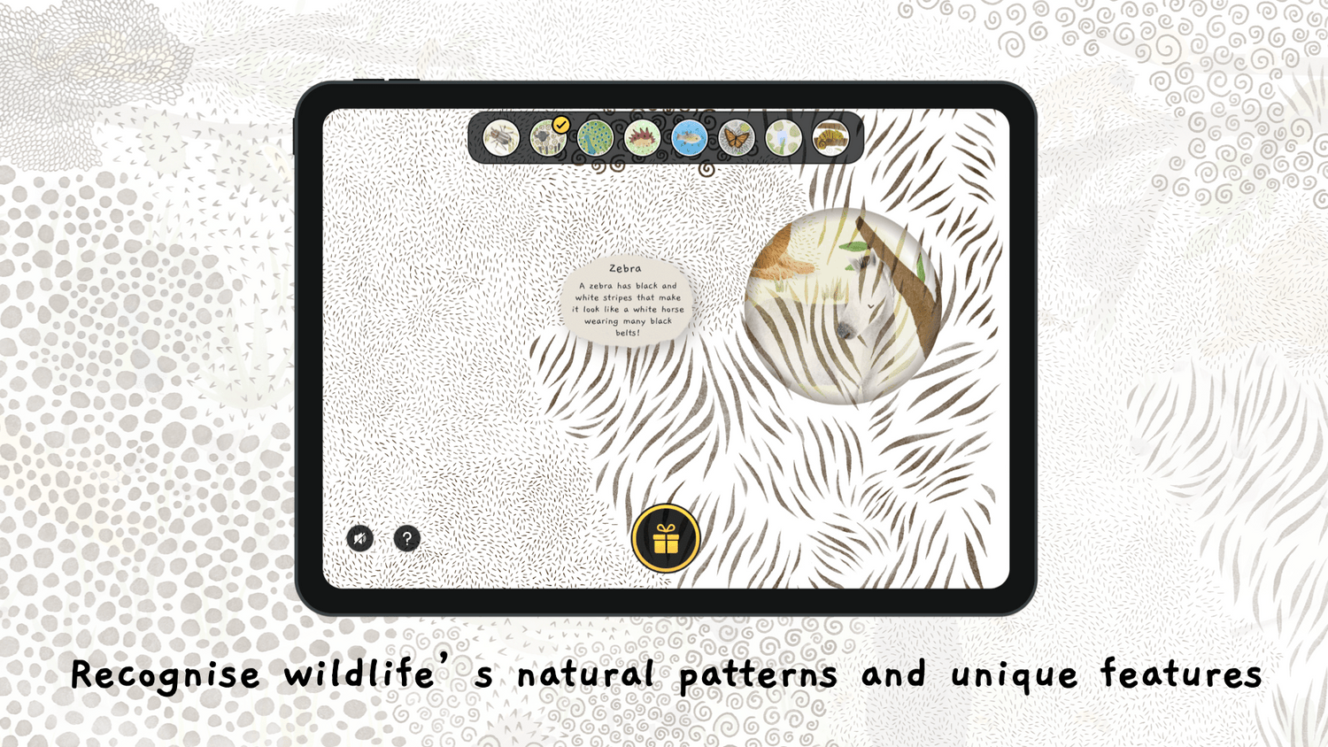 The Big Safari – Peekabook